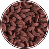 Labcon Pet - English